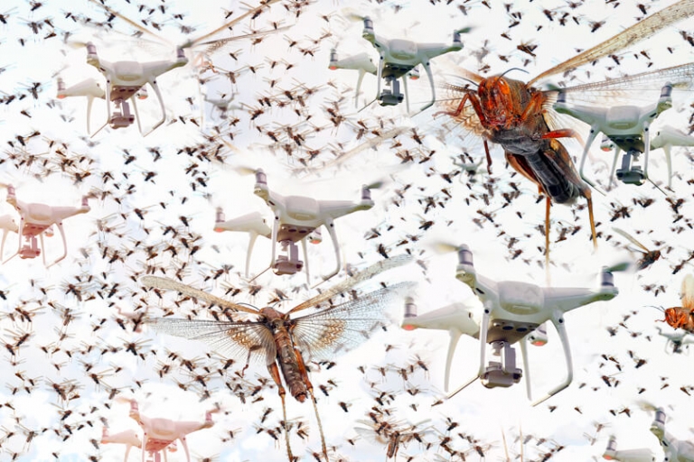 Bionik: Wenn der Mensch die Technik der Natur imitiert - Hölzel Journal ...